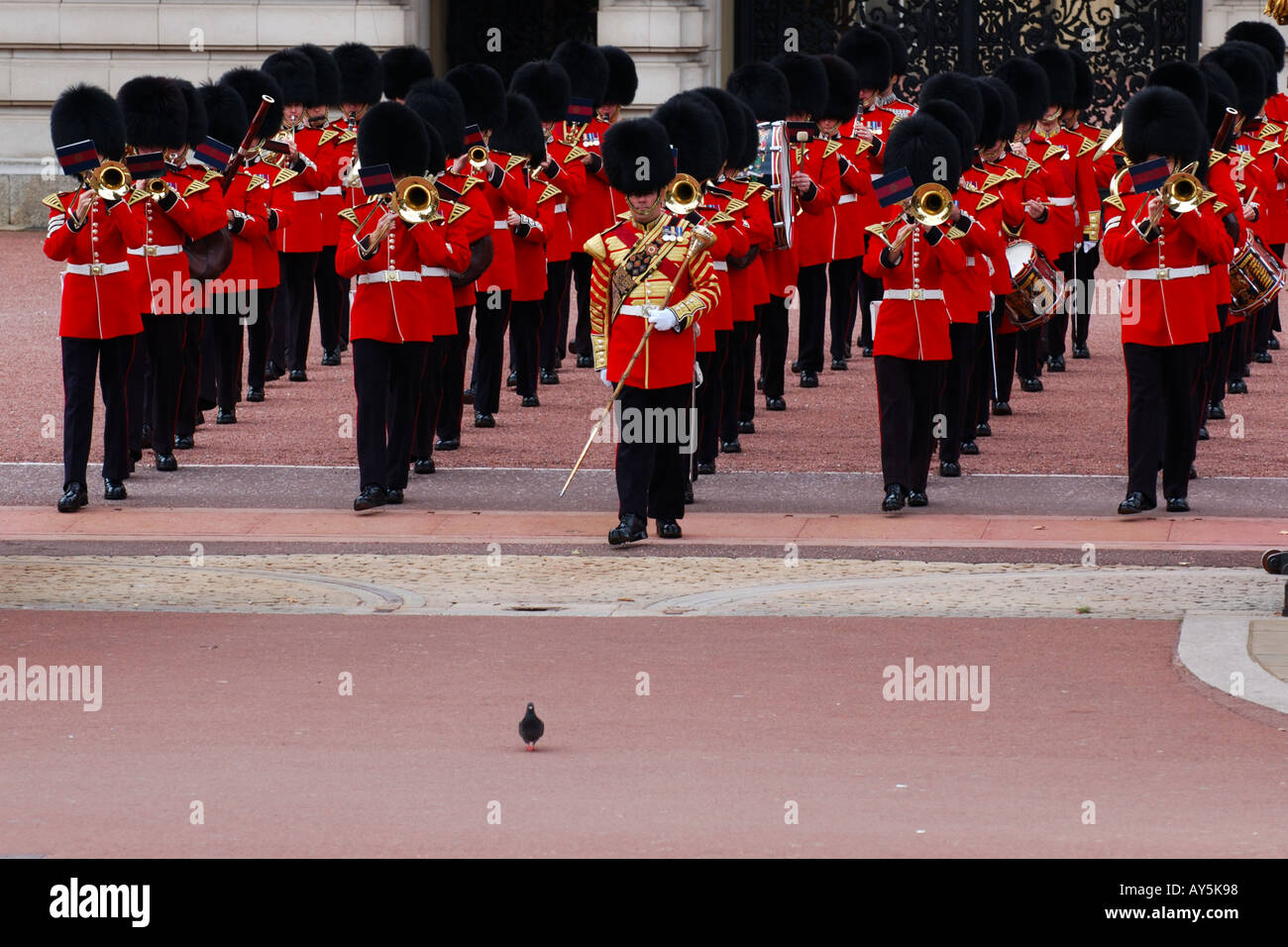 Buckingham palace guards hi-res stock photography and images - Alamy