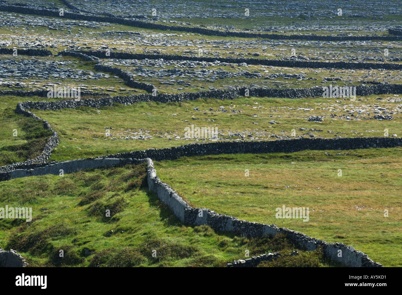 Stone walls on Inishmore Stock Photo - Alamy