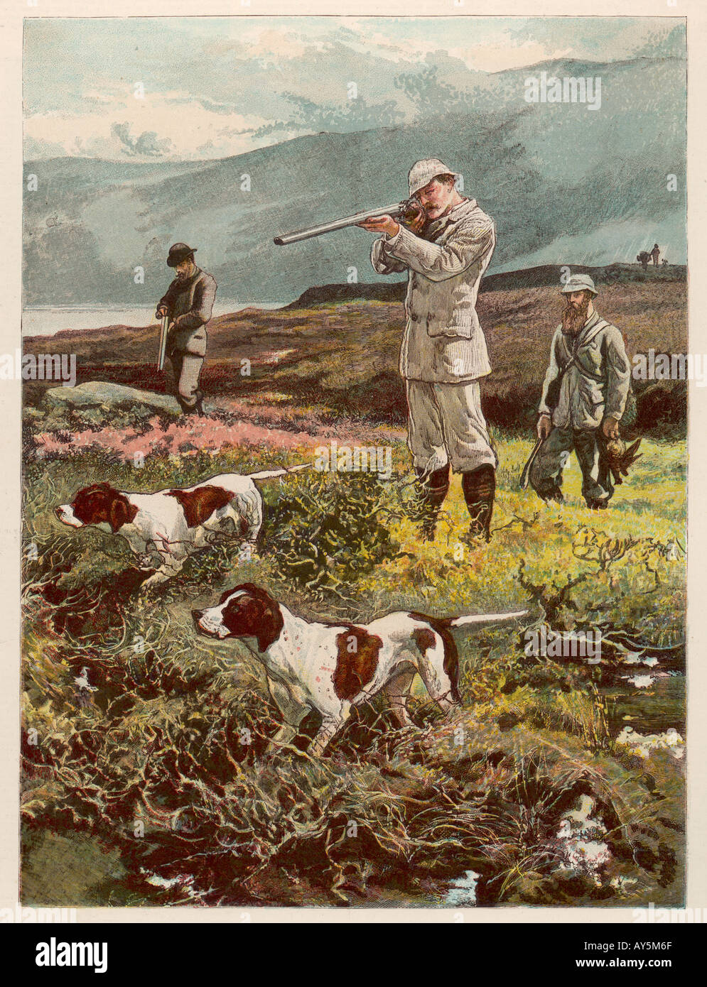 Shooting On The Moors Stock Photo - Alamy