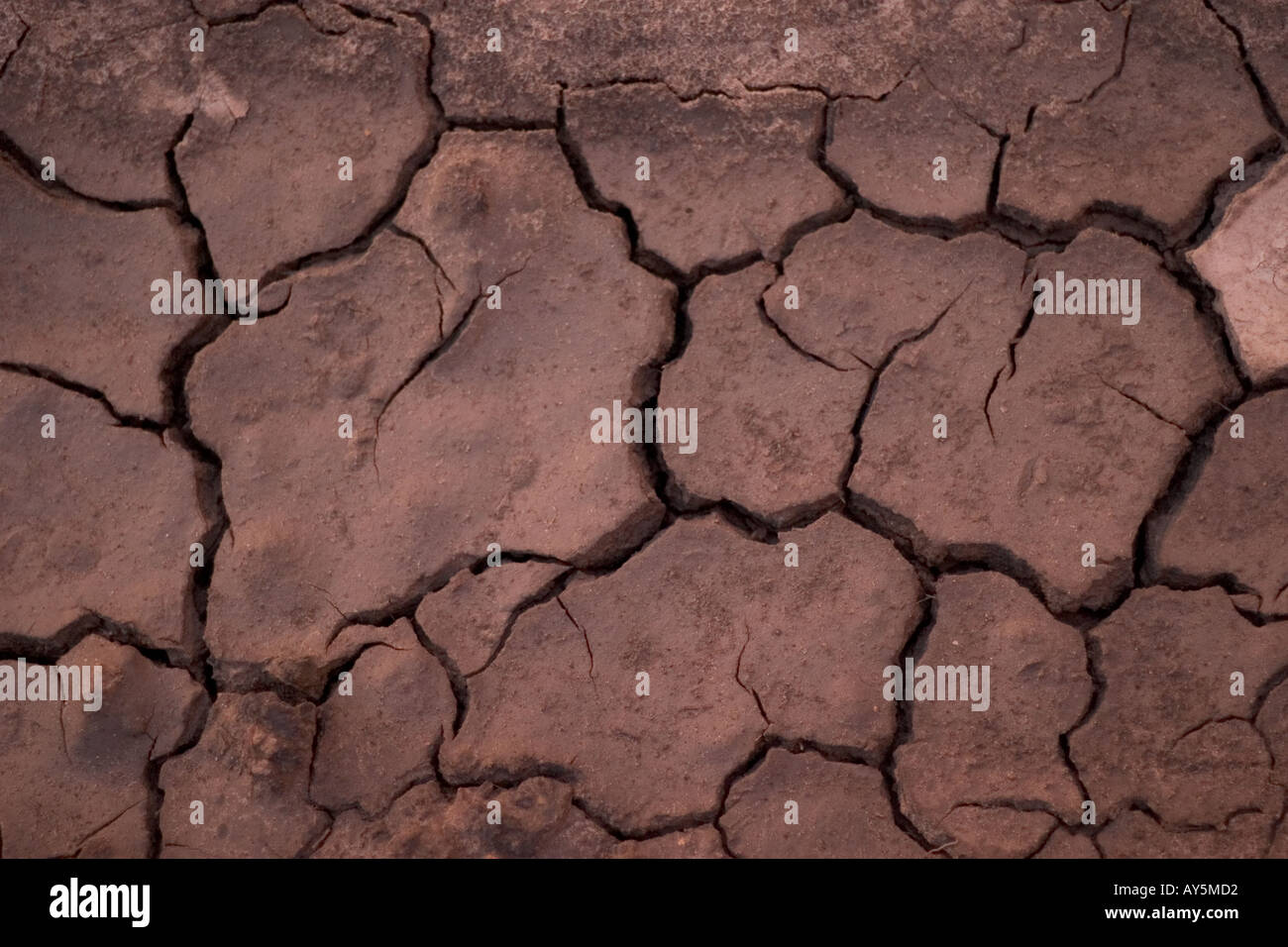 Baked dry earth Stock Photo - Alamy