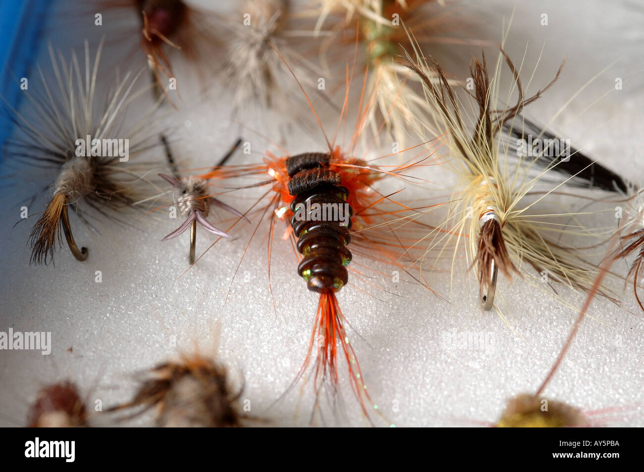 Fly Fishing Lures Stock Photo - Alamy