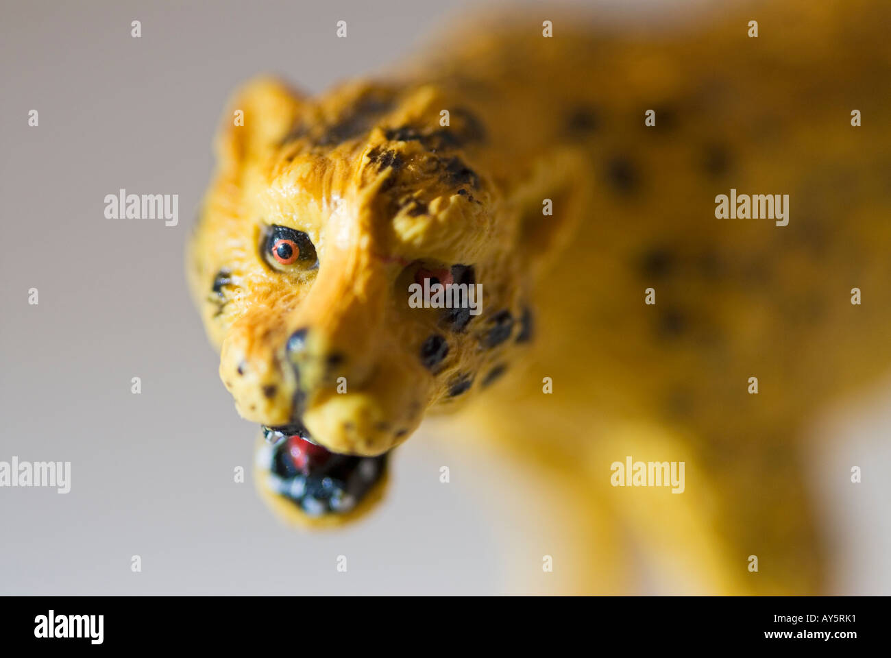 Toy cheetah hi-res stock photography and images - Alamy