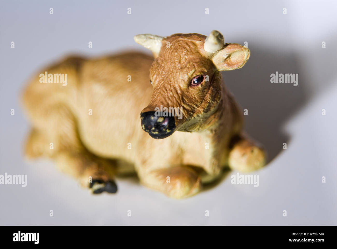 Plastic model cow hi-res stock photography and images - Alamy