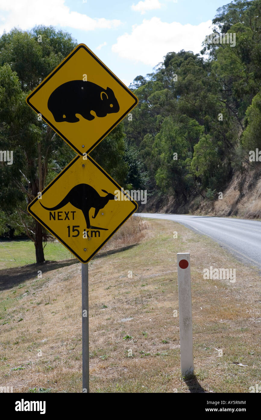 Wombat and Kangaroo road sign Stock Photo - Alamy