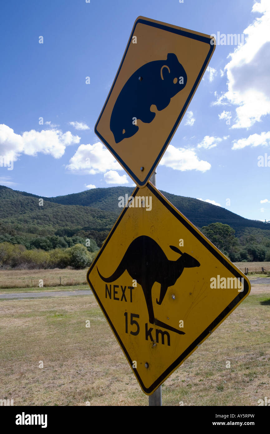 Wombat and kangaroo road sign Stock Photo - Alamy