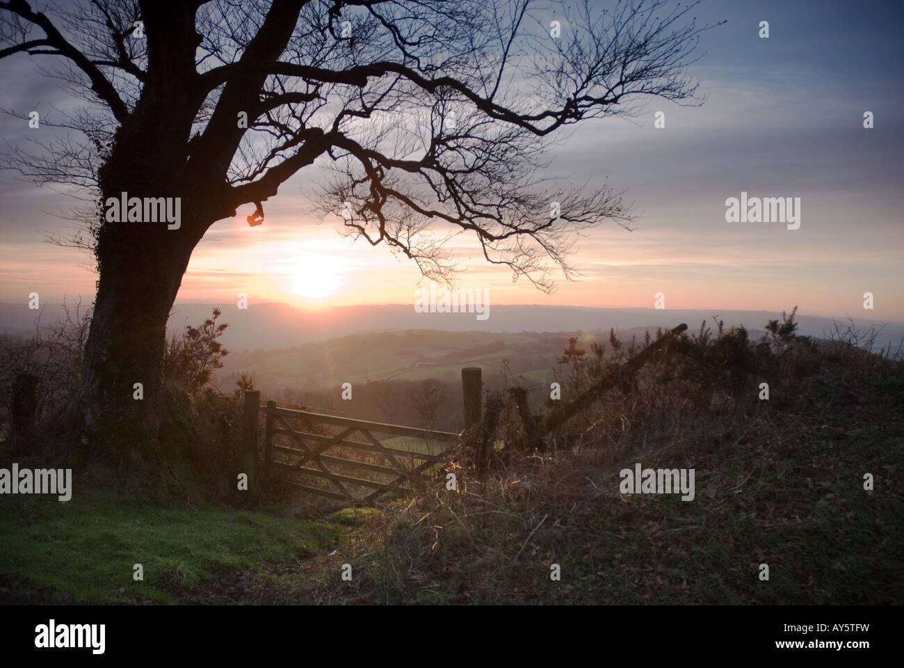 Dartmoor gateway hi-res stock photography and images - Alamy