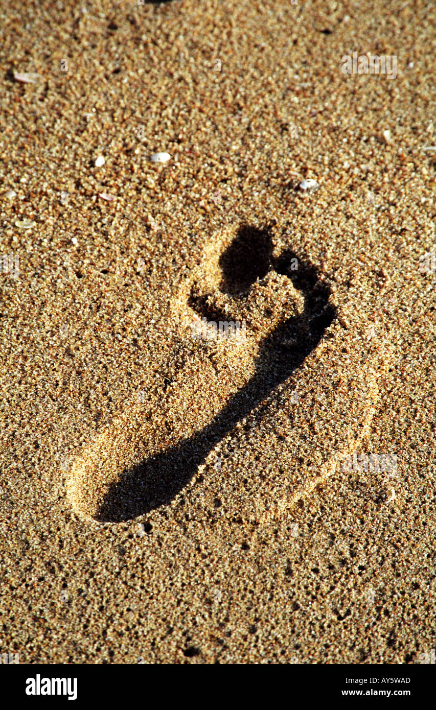 Walking Footprints In Sand