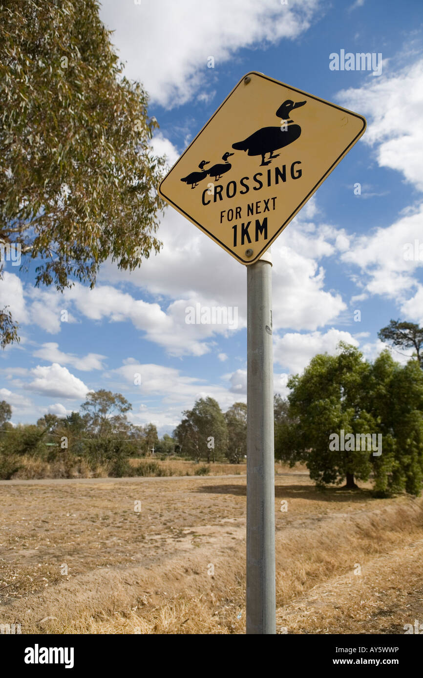 Ducks Crossing road sign Stock Photo - Alamy