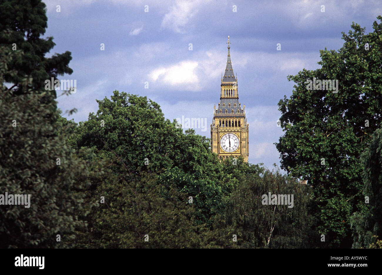 Big ben behind trees hi-res stock photography and images - Alamy