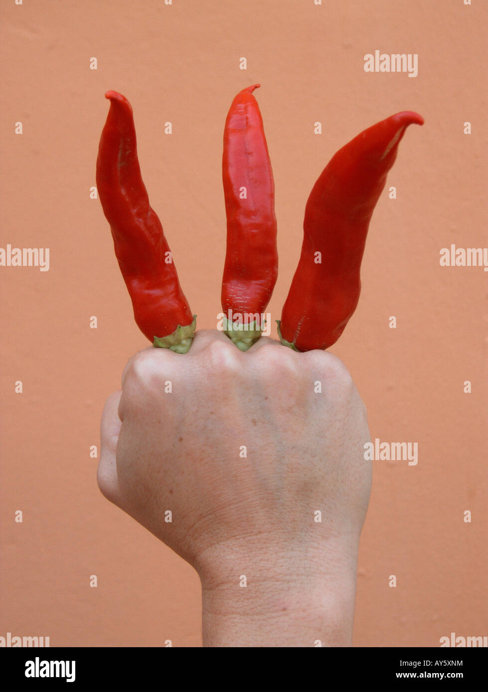 Hand with red cayenne chili peppers (Capsicum annuum longum Stock Photo ...