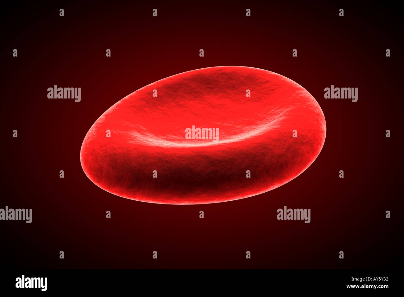 Red blood cell Stock Photo - Alamy