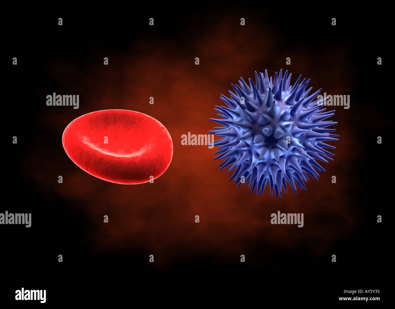 Red blood cell and germ Stock Photo - Alamy