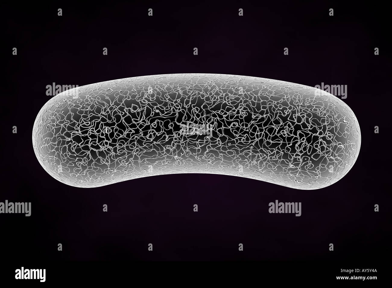 Acid background bacteria bacteries bacterium hi-res stock photography ...