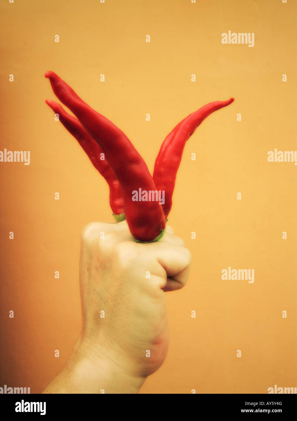 Hand with red cayenne chili peppers (Capsicum annuum longum Stock Photo ...