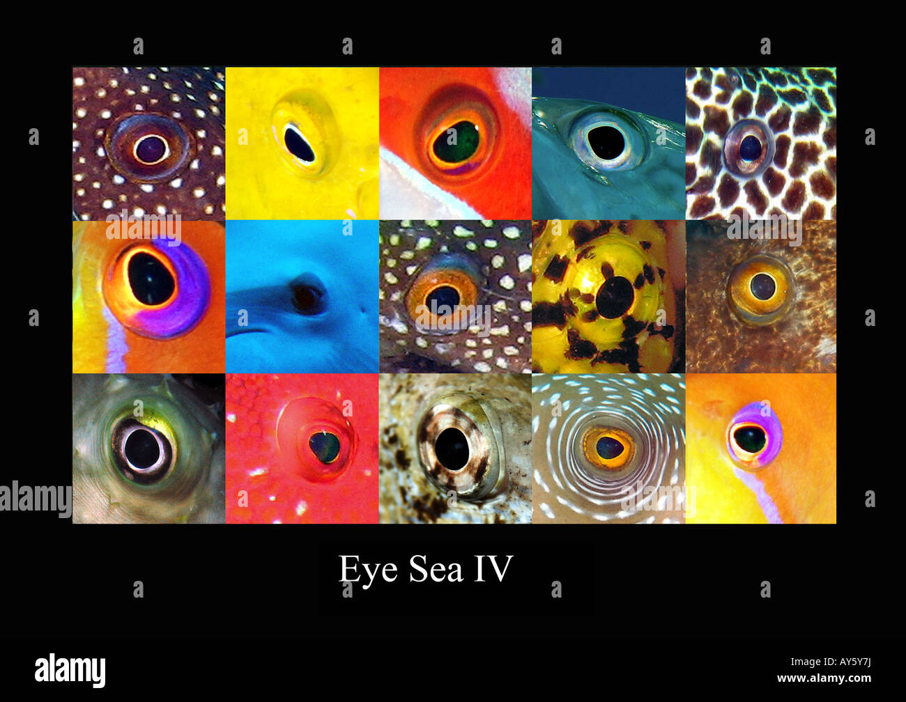 Postereye hi-res stock photography and images - Alamy