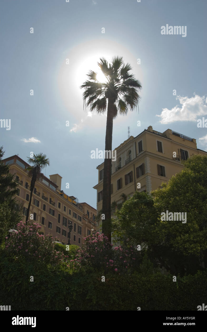 rome the top of the spanish steps Stock Photo - Alamy