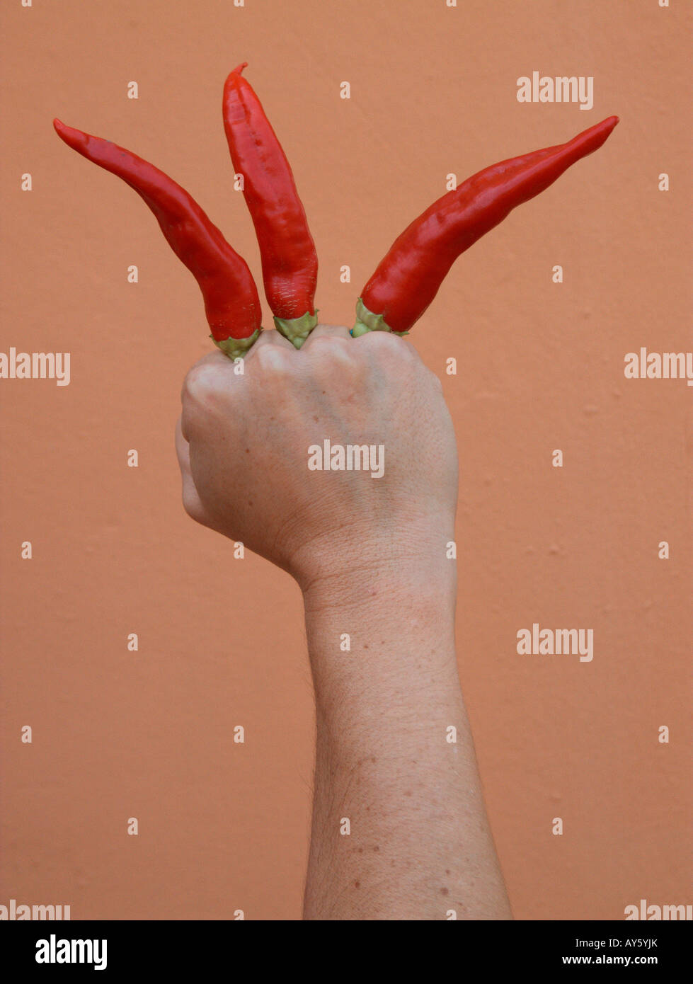 Capsicum longum hi-res stock photography and images - Alamy