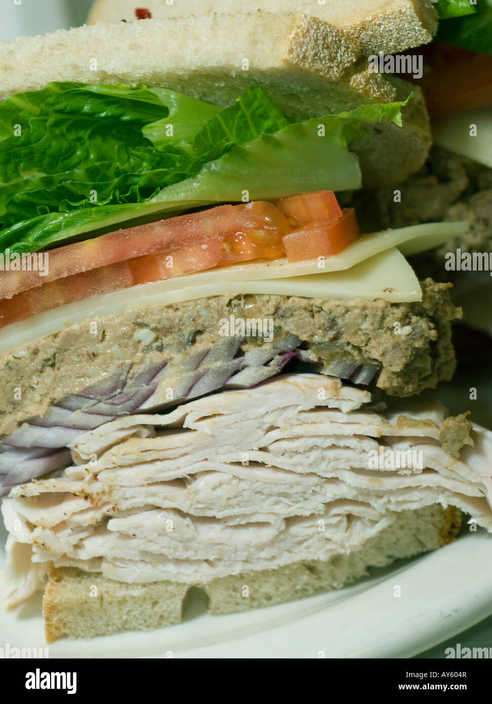 deli sandwich new york turkey chopped liver bermuda onion on jewish rye ...