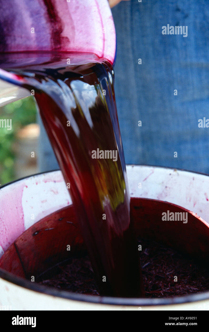 Logwood dye hi-res stock photography and images - Alamy