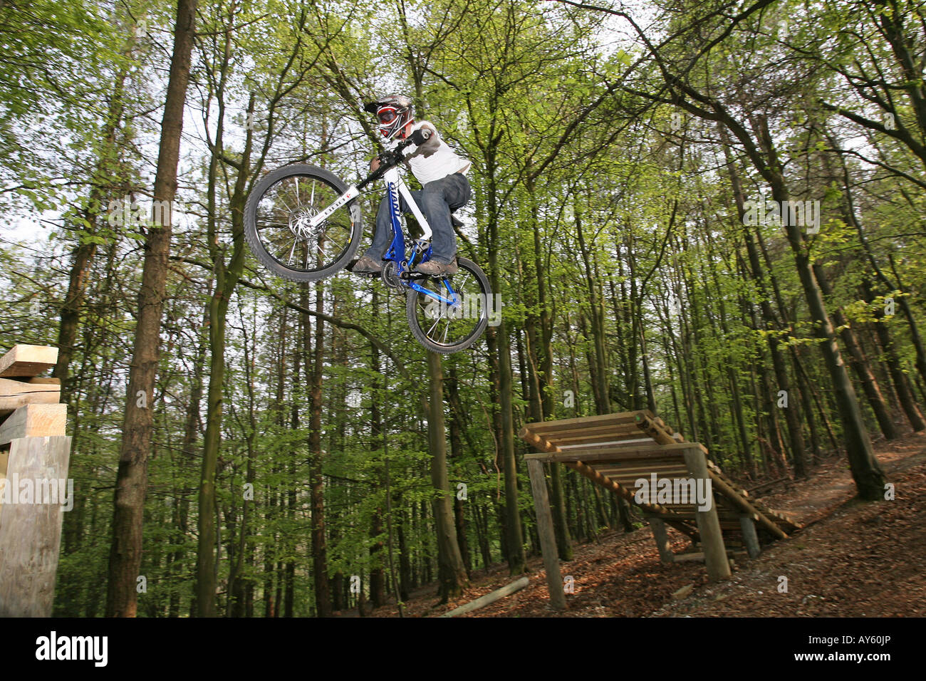 A Mountain biker jumping through some trees Stock Photo - Alamy