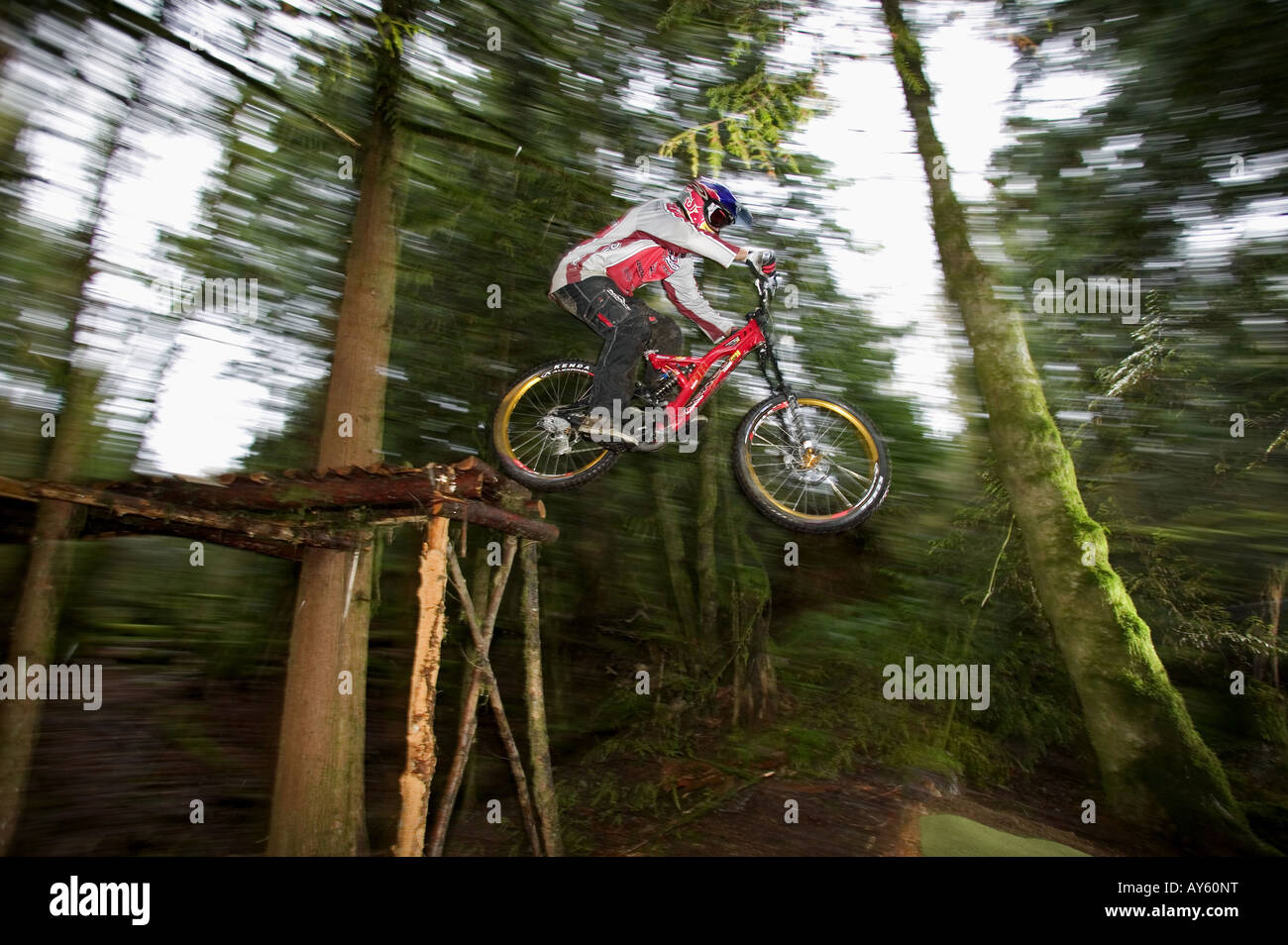 A Mountain biker jumping through some trees Stock Photo - Alamy
