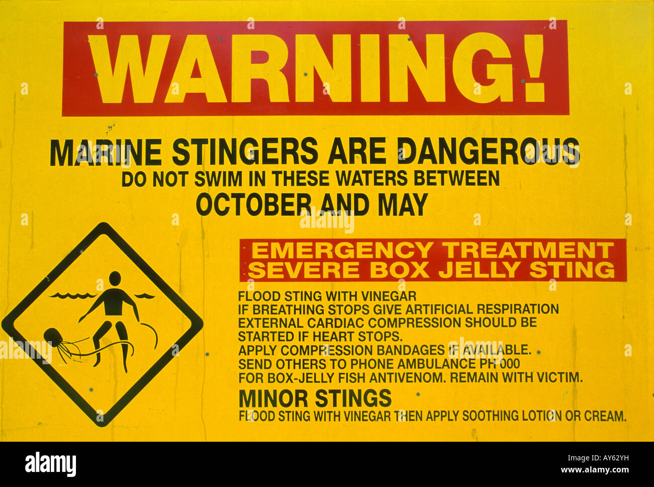 Box jellyfish australia hi-res stock photography and images - Alamy