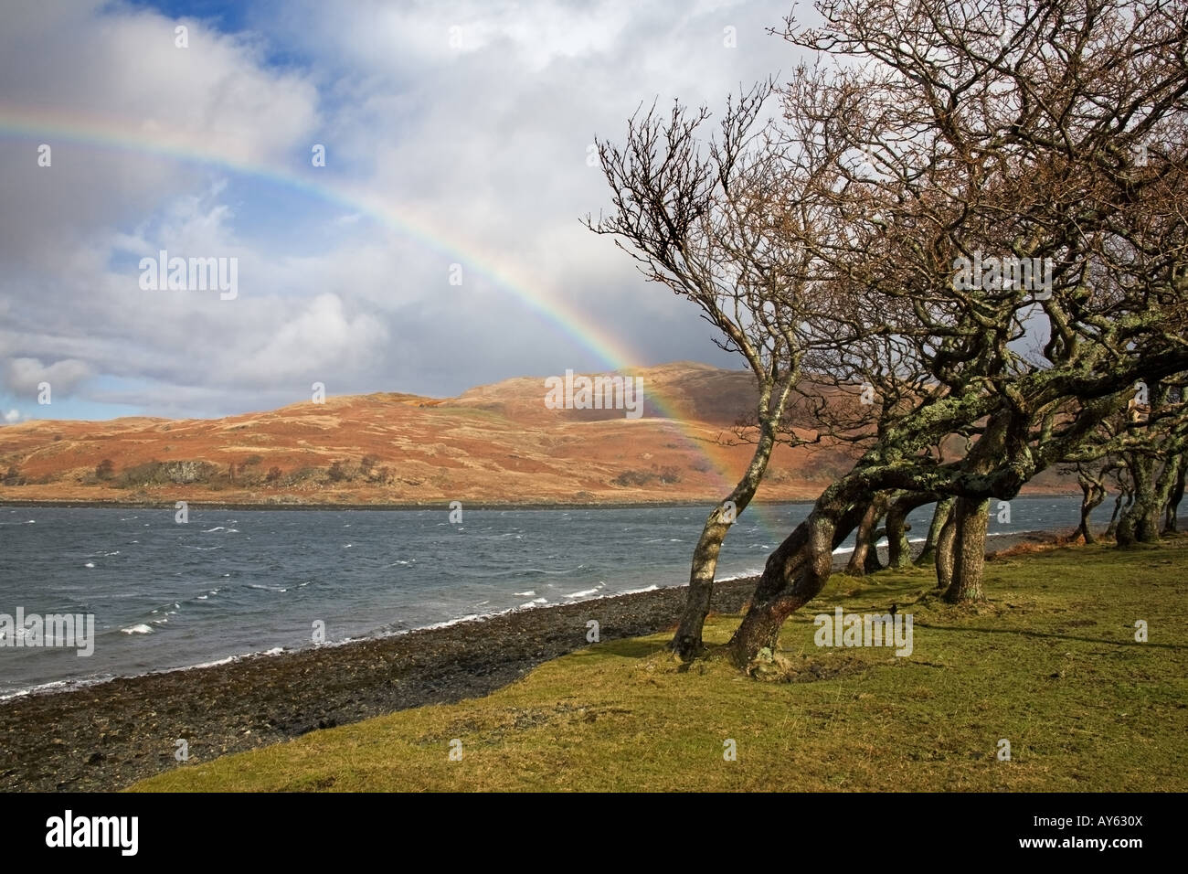 Rainbow over Loch Spelve Croggan Isle of Mull Stock Photo - Alamy