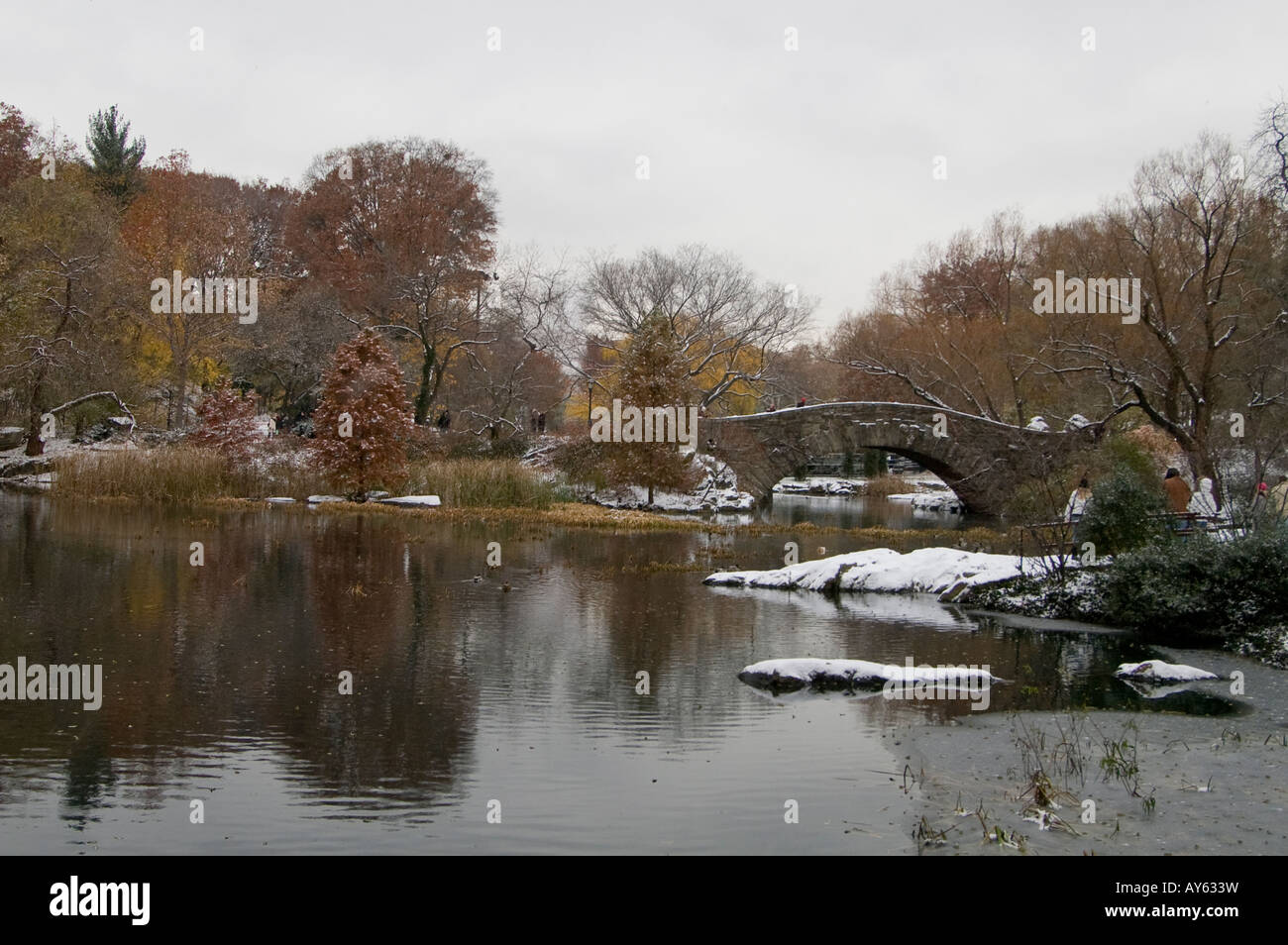 The Bridge over the pond in central park New York Stock Photo - Alamy