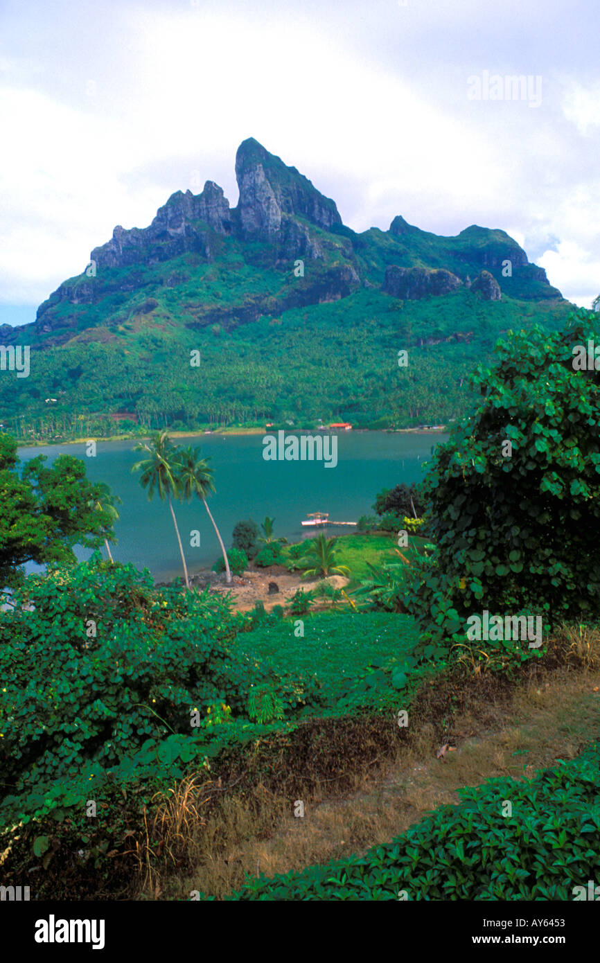 Scenic of Plants Green Mountain French Polynesia Bora Bora Tahiti Stock ...