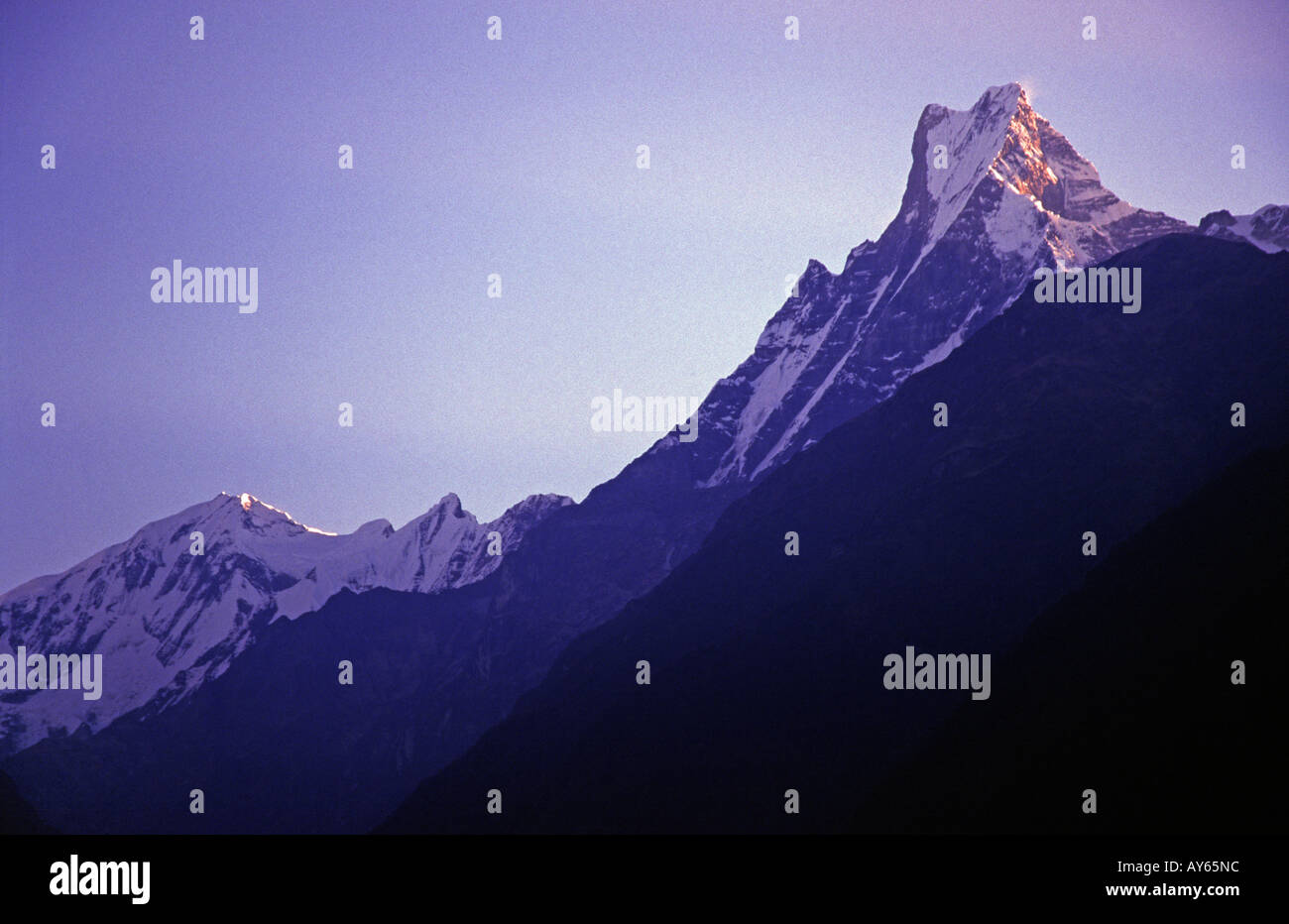 Machhapuchhare in the Annapurna region of Nepal Stock Photo - Alamy