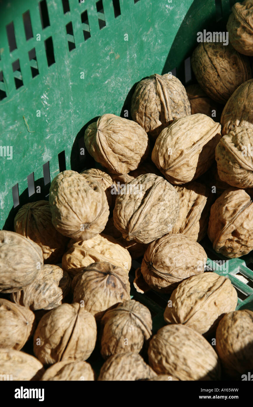 box of walnuts Stock Photo - Alamy