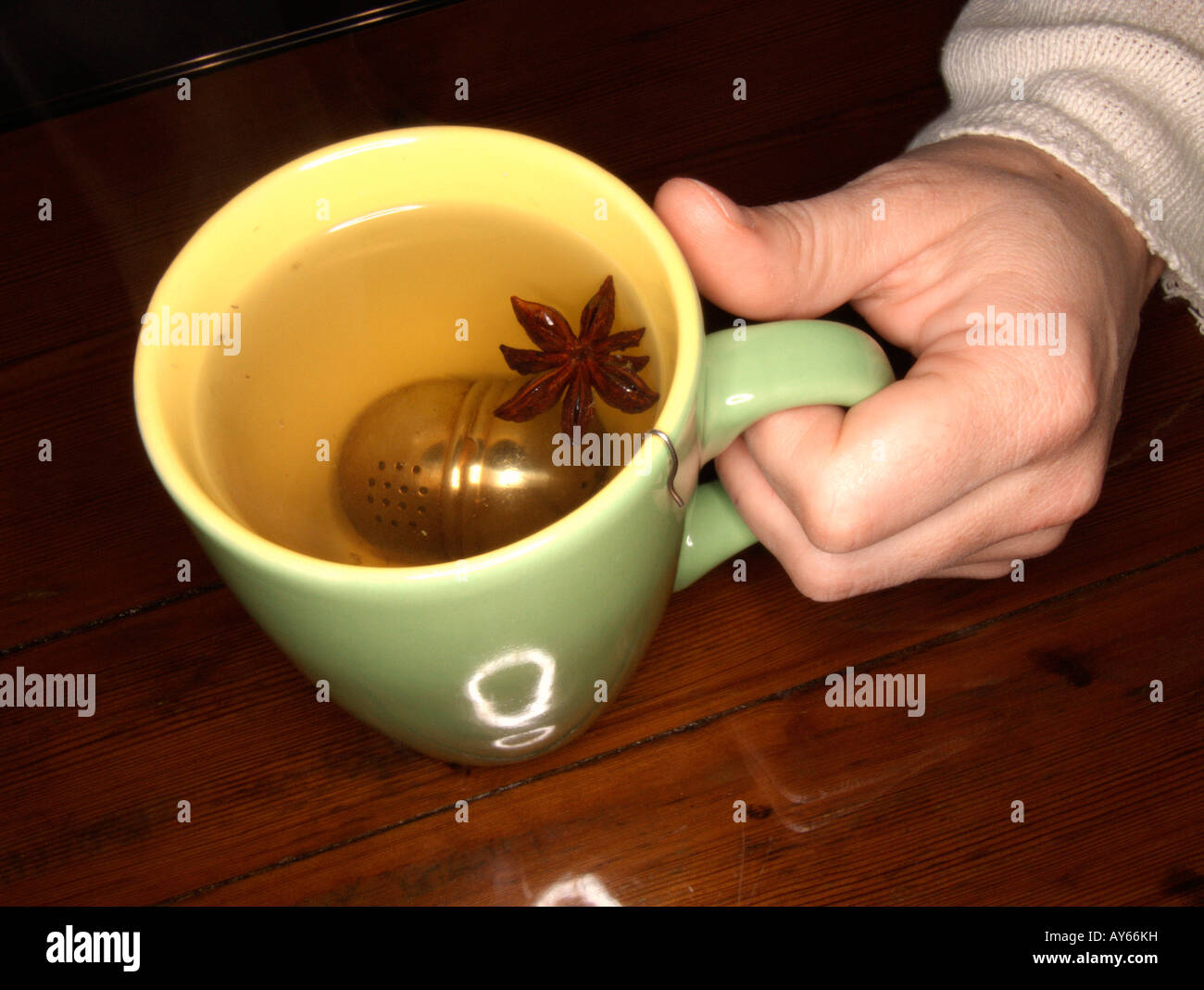 Infusion with Star anise ("Illicium Verum" aka "star aniseed" or ...