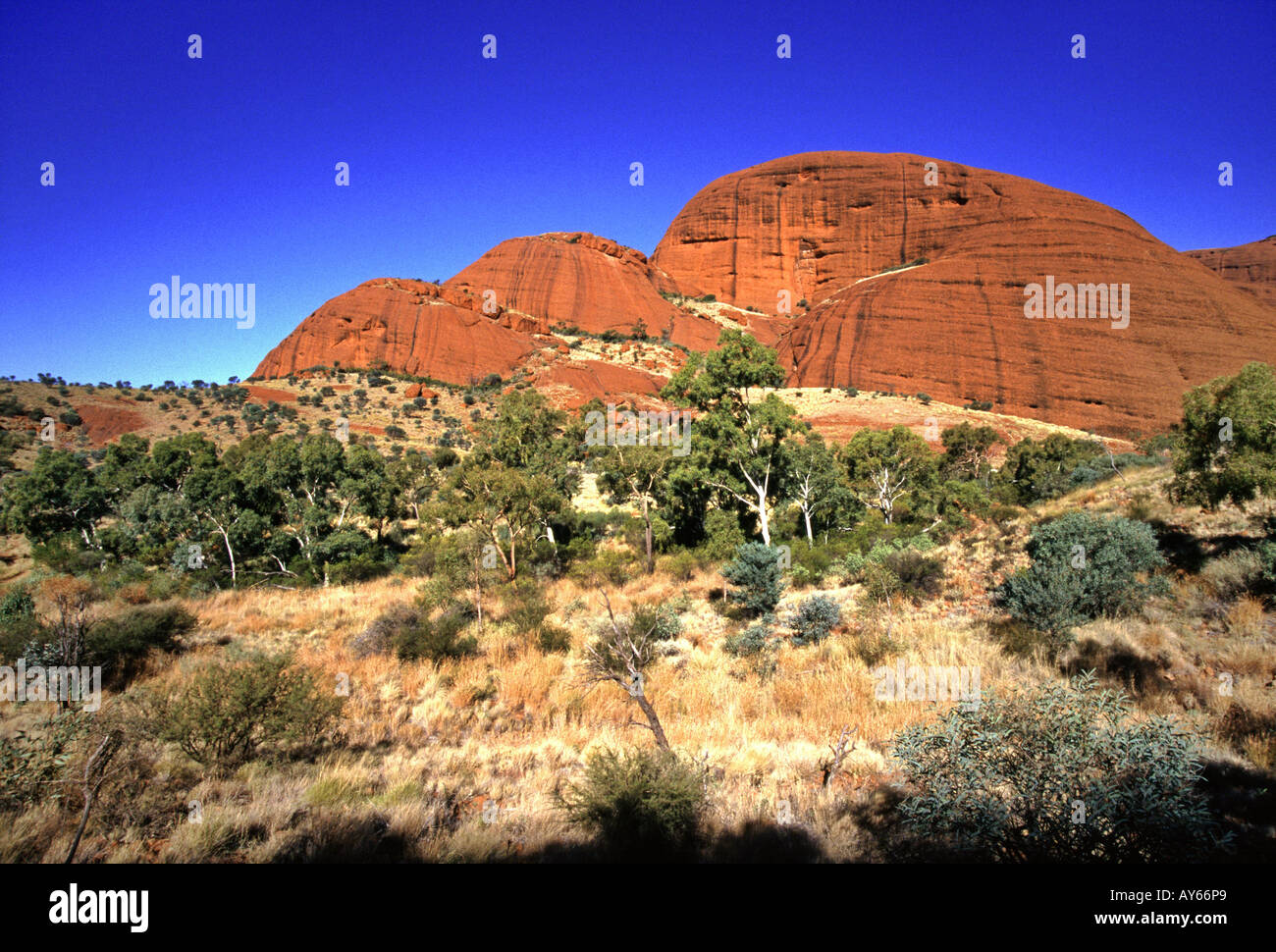Kata Tjuta The Olgas in the Northern Territories Australia Stock Photo ...