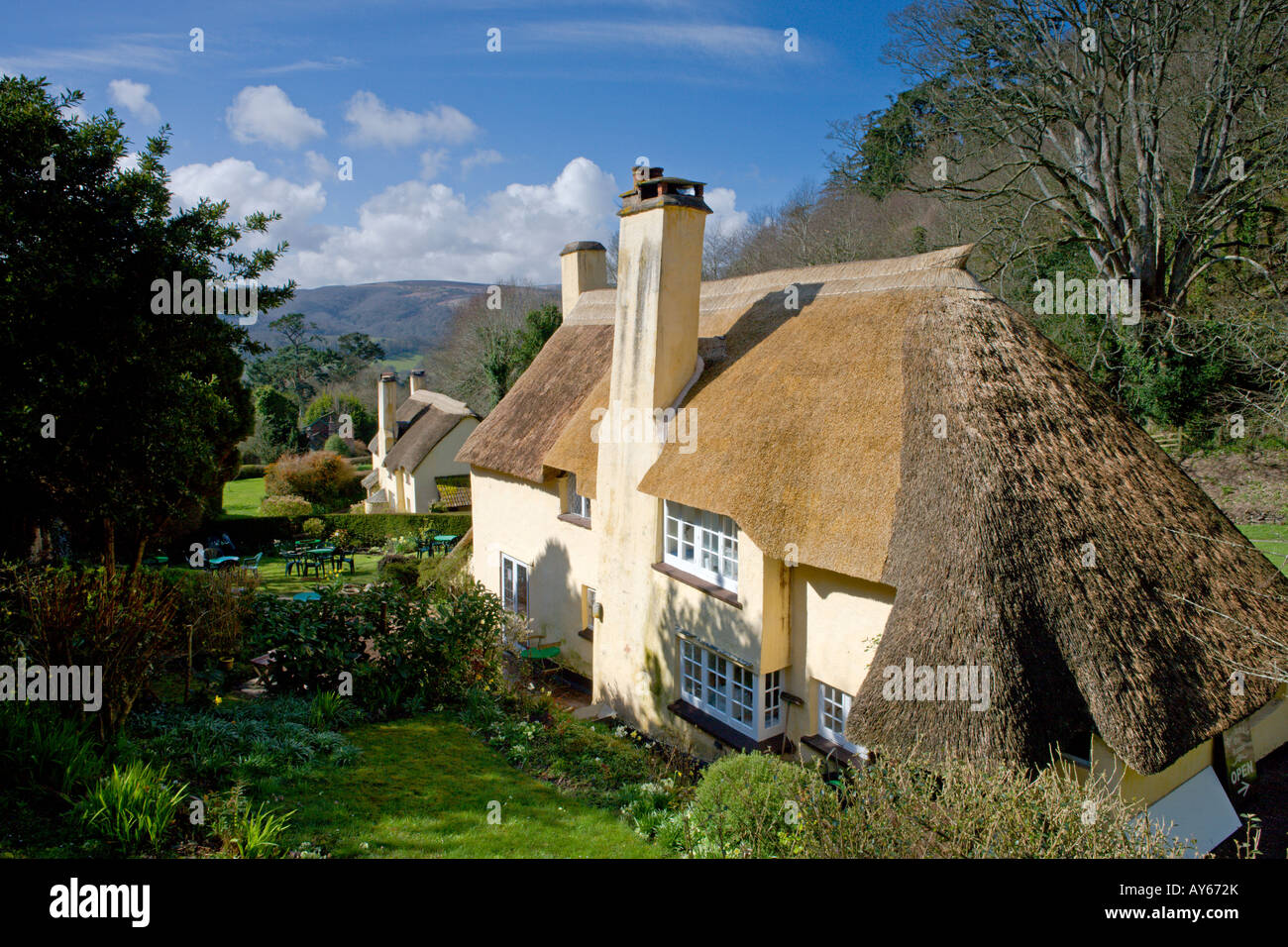 Selworthy in west somerset hi-res stock photography and images - Alamy