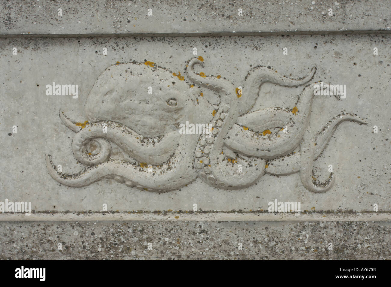 Carved stone panel on wall with octopus motif Stock Photo - Alamy