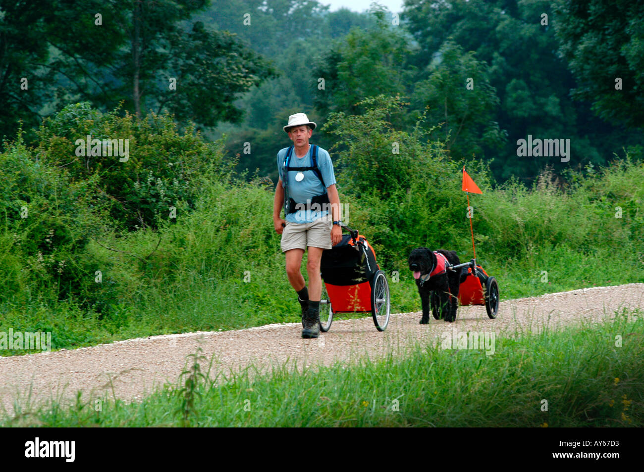 A PILGRIM WITH HIS SCALLOP SHELL FOLLOWING THE ROUTE OF ST JAMES WALKS ...