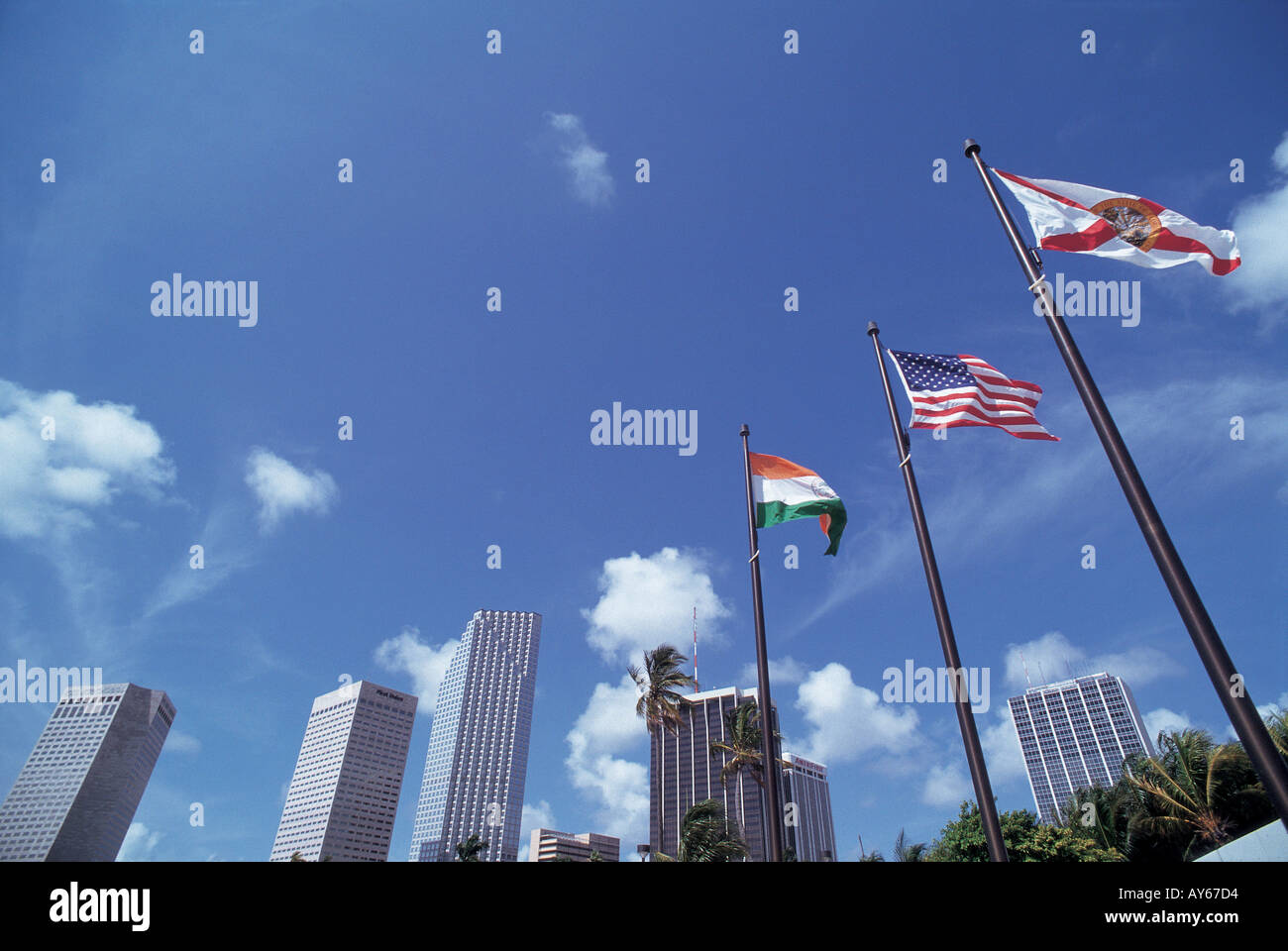 U of miami flag hi-res stock photography and images - Alamy