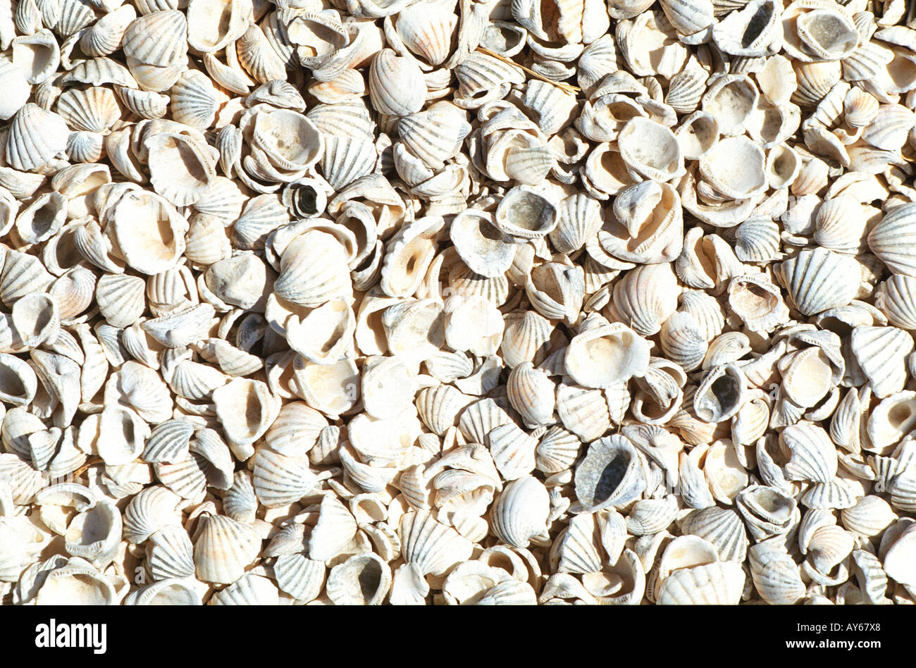 Fadiouth shell island hi-res stock photography and images - Alamy