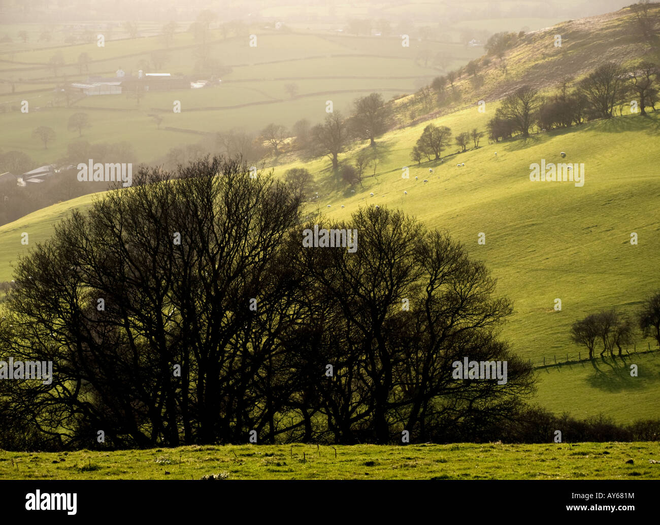 Early spring in the Tanat Valley, Powys, Wales Stock Photo - Alamy