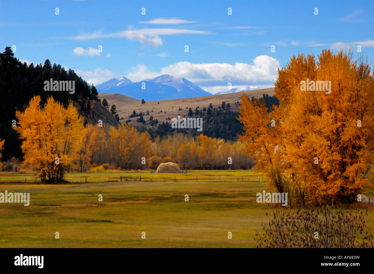 Fall Day in Montana Stock Photo - Alamy