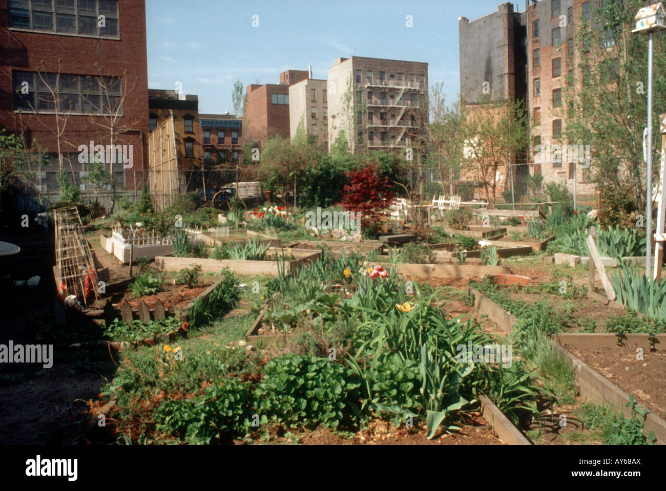 Community garden on vacant land in the East Village of NYC Stock Photo ...