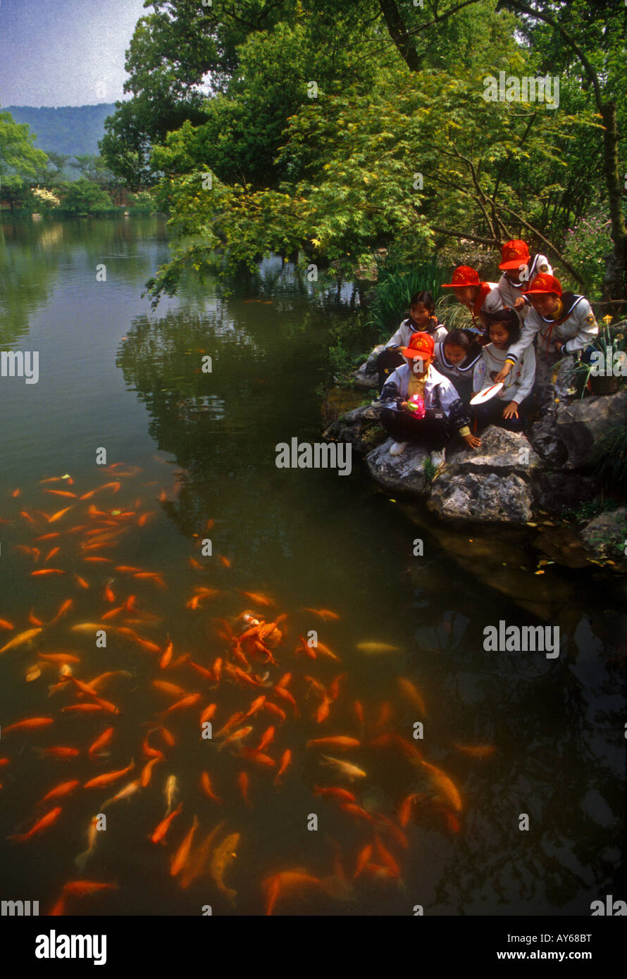Hangzhou west lake china goldfish park hi-res stock photography and ...
