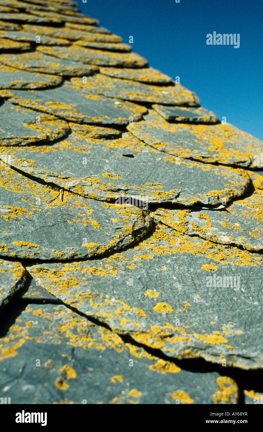 Curved slates hi-res stock photography and images - Alamy