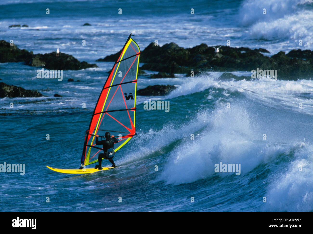 Male windsurfer hi-res stock photography and images - Alamy