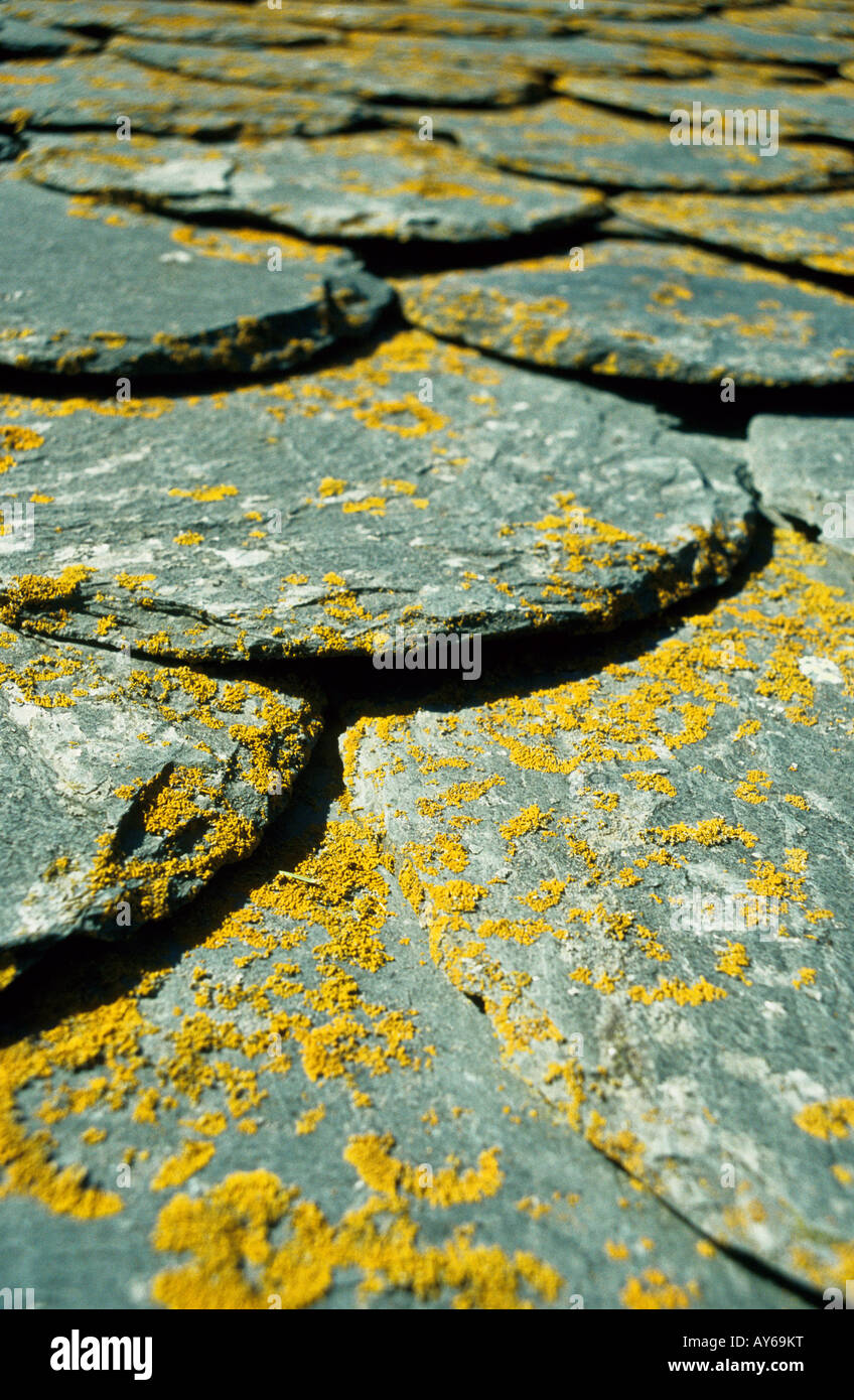 Curved slates hi-res stock photography and images - Alamy