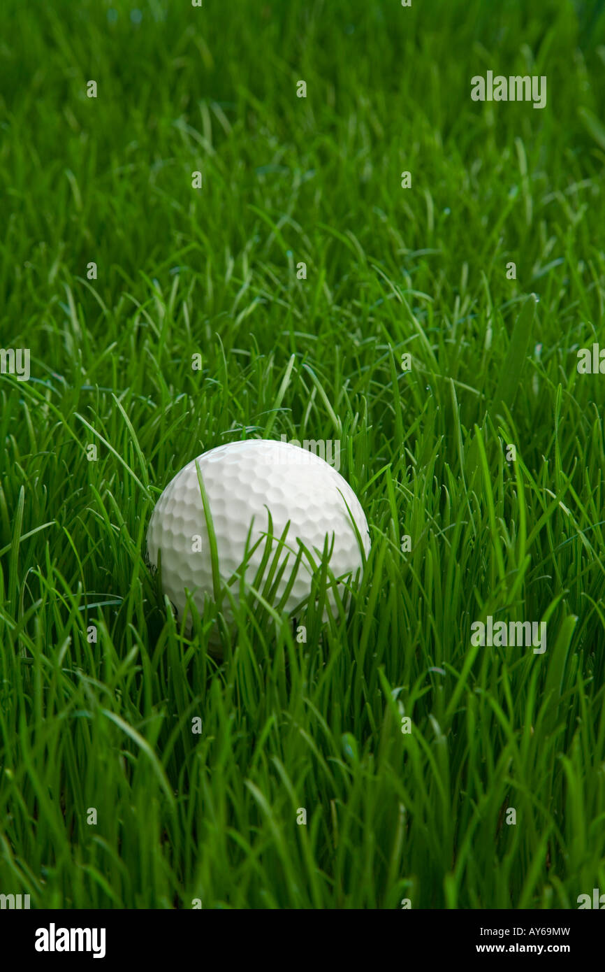 A golf ball in the grass portrait Stock Photo - Alamy