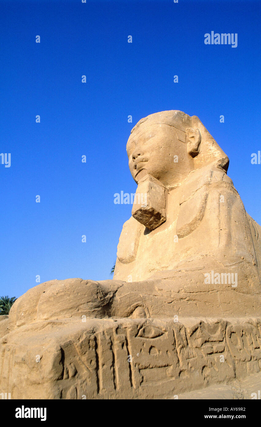 Vallee du nil hi-res stock photography and images - Alamy