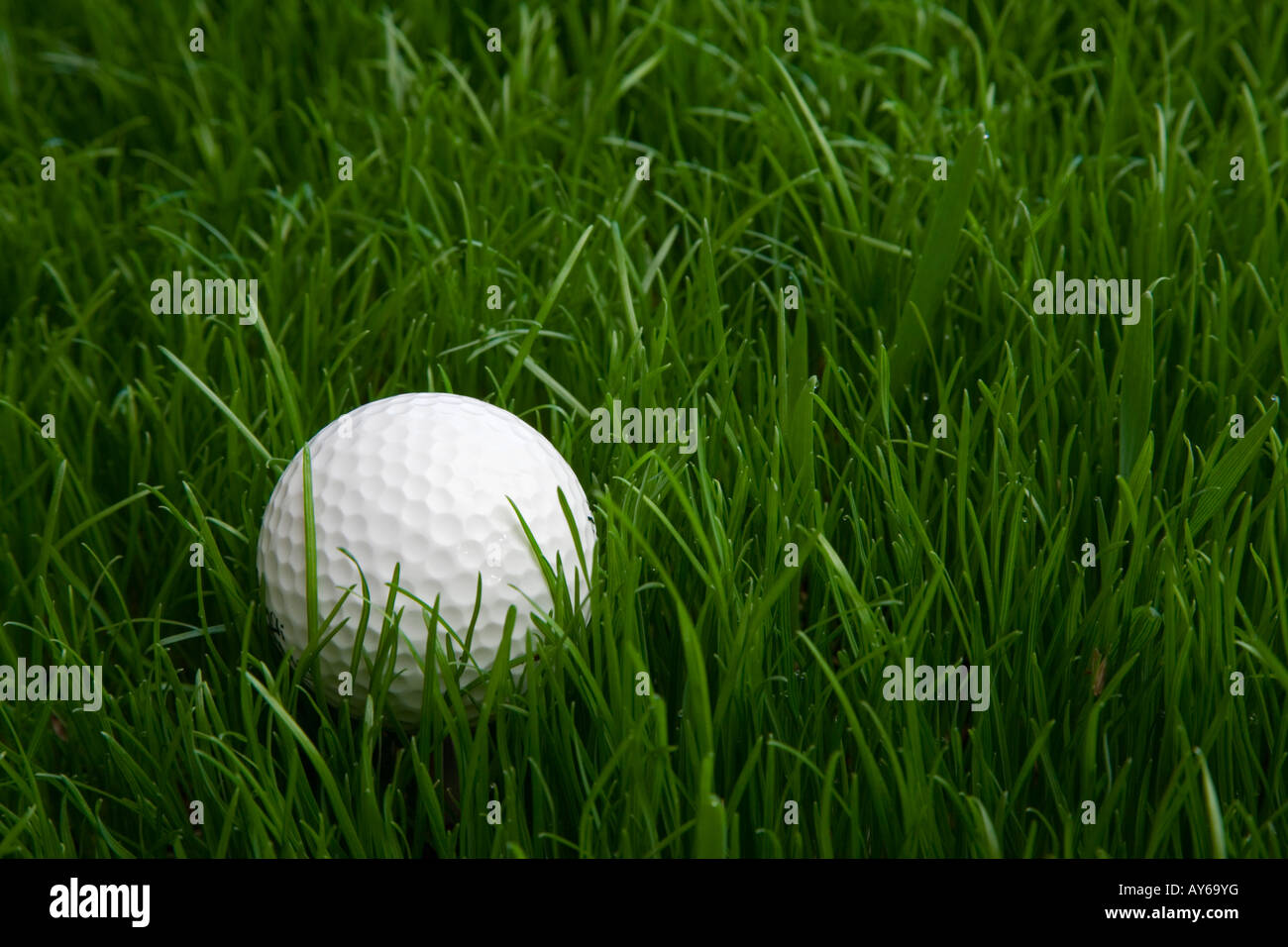 Golf rough hi-res stock photography and images - Alamy