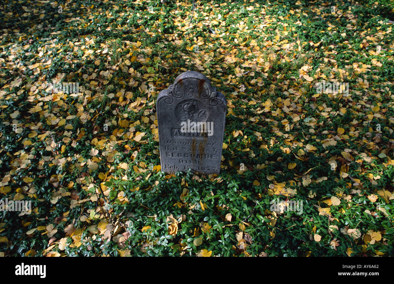 A old gravestone Michigan Upper Peninsula USA Stock Photo - Alamy
