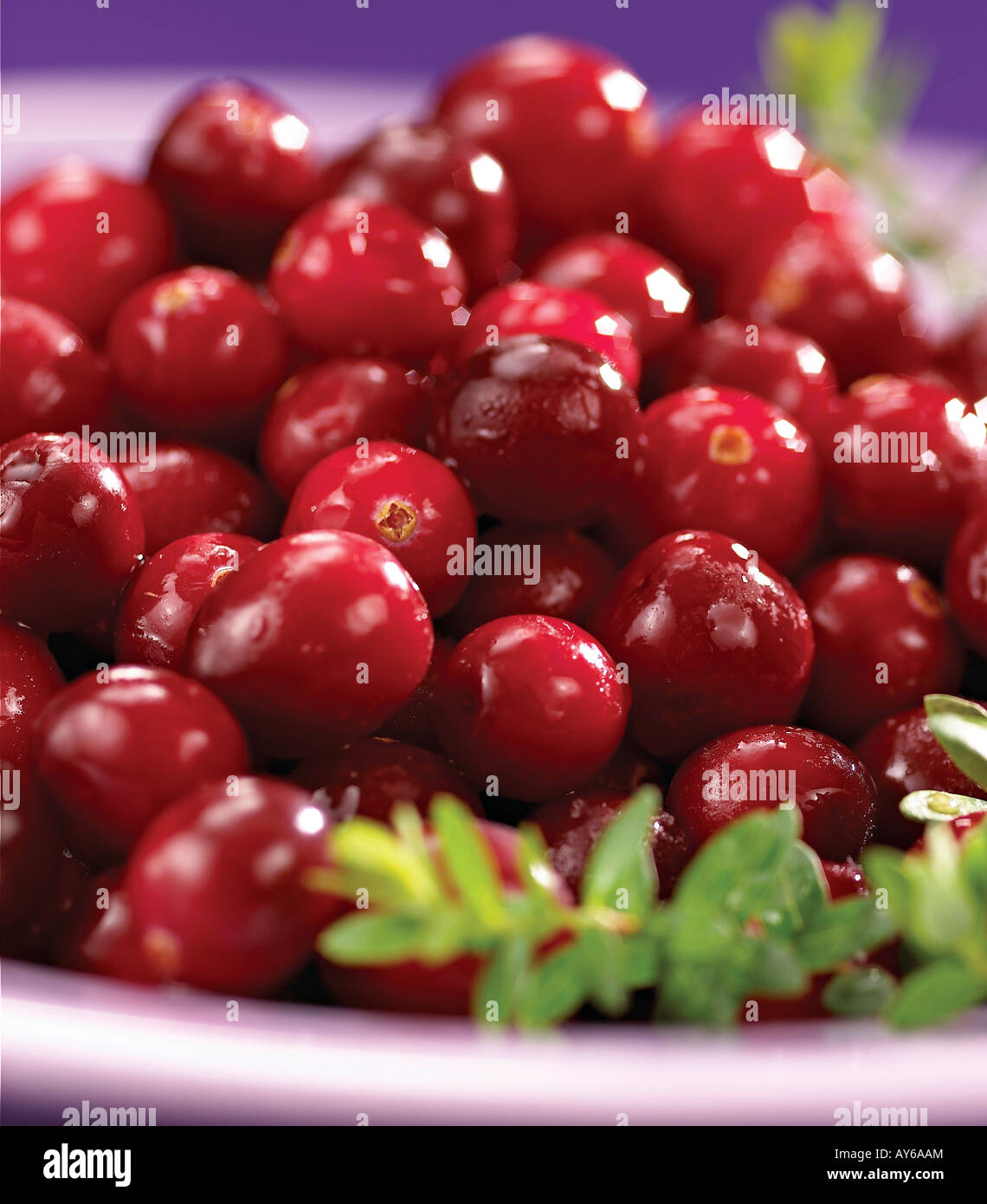 Cranberries in a bowl with stems Stock Photo - Alamy